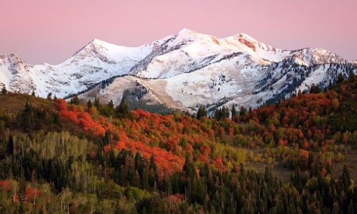 Entrepreneurial Town Spotlight: Provo, Utah (UT)